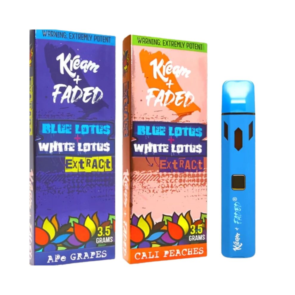 All Mushroom Products Archives - Earth Grown Wellness